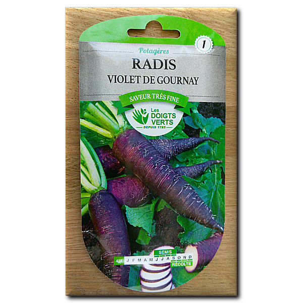 RADIS Violet de gournay