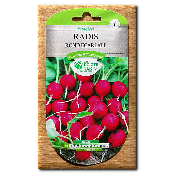 RADIS Rond écarlate - Produit -Lbiocompost